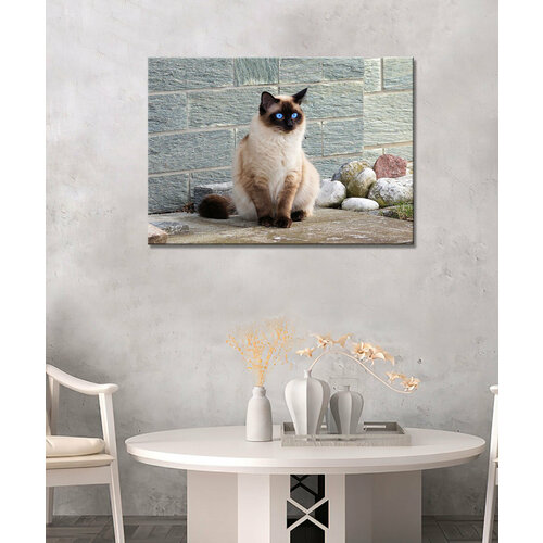 Картина - кошка, сиамская кошка, домашняя кошка, ласковая кошка, короткошерстная кошка, кот (94) 50х70