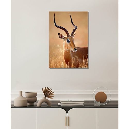 Картина - коричневая антилопа, антилопа смотрит в сторону 60х80