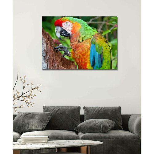 Картина/Попугай/Попугаи/Попугай на дереве/Попугай вблизи/ - Попугай (36) 50х70