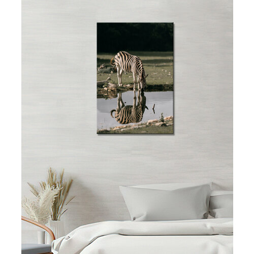 Картина - Зебра, полосатая зебра, красивая зебра, зебра у воды (17) 20х30