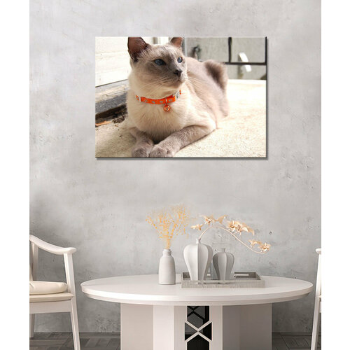 Картина - кошка, сиамская кошка, домашняя кошка, ласковая кошка, короткошерстная кошка, кот (92) 30х40