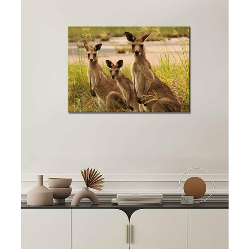 Картина - кенгуру, семья кенгуру, стая кенгуру, кенгуру в природе (7) 20х30