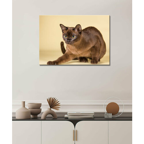 Картина - кошка, бурманская кошка, кот, тёмная кошка, ласковая кошка (35) 30х40