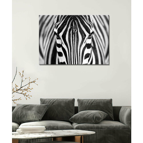 Картина - Зебра, полосатая зебра, красивая зебра, глаза зебры (8) 20х30