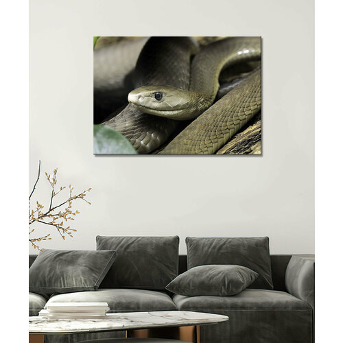 Картина - змея, чёрная мамба, чёрная змея, ядовитая змея, большая змея, кожа змеи (10) 50х70