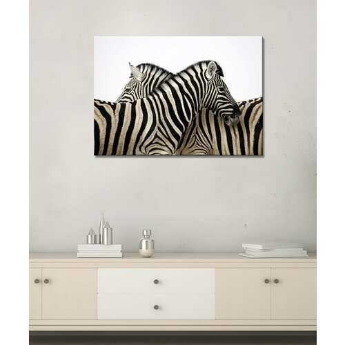 Картина - Зебры, полосатая зебра, красивая зебра, зебры обнимаются (28) 50х70