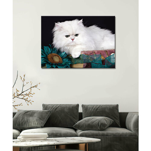 Картина - кошка, персидская кошка, домашняя кошка, ласковая кошка, кот (298) 20х30