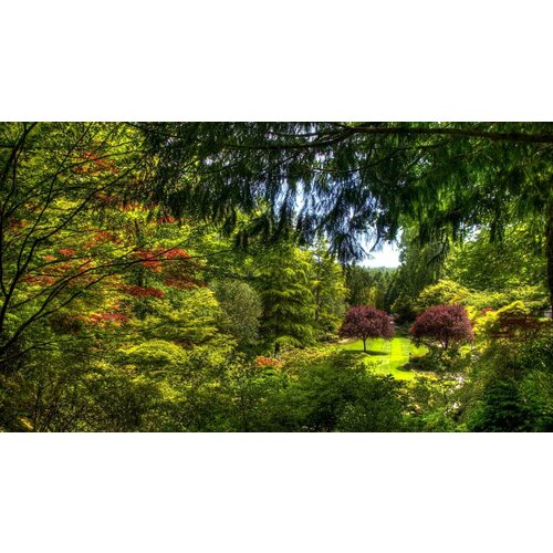 Картина на холсте 60x110 Альянс Лес "Butchart Gardens деревья" на подрамнике / интерьер/ декор