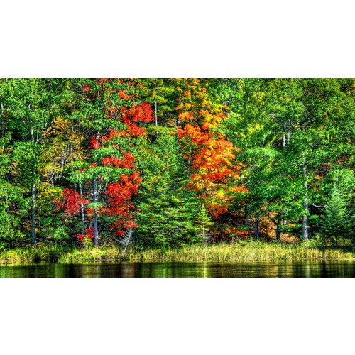 Картина на холсте 60x110 Альянс Лес "Деревья пейзаж вода природа озеро" на подрамнике / интерьер/ декор