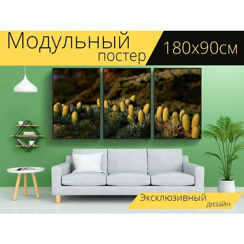 Модульный постер "Коконов, дерево, лес" 180 x 90 см. для интерьера