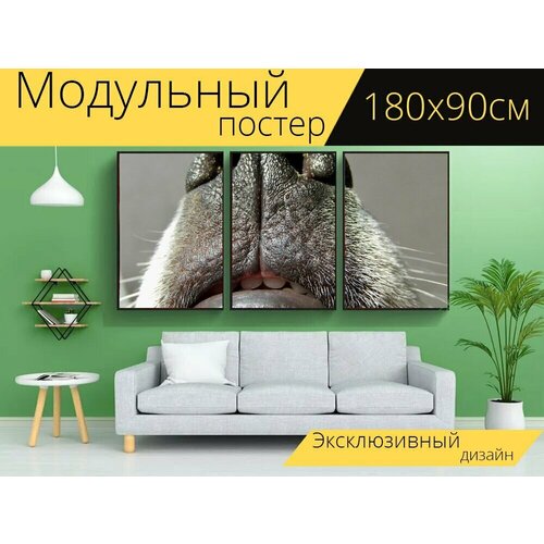 Модульный постер "Морда, собака, зубы" 180 x 90 см. для интерьера