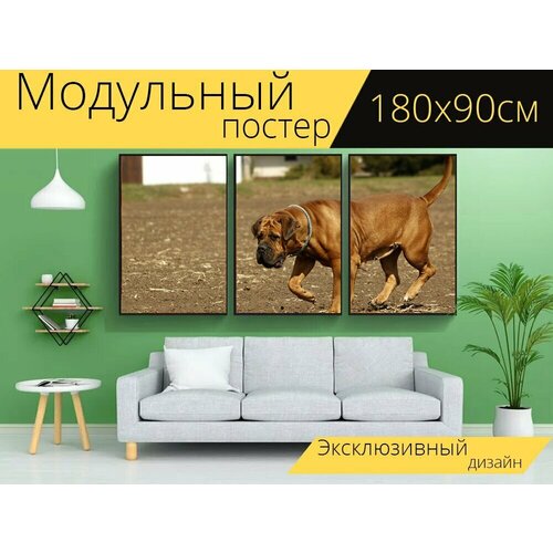 Модульный постер "Бурбуль, собака, африканский" 180 x 90 см. для интерьера