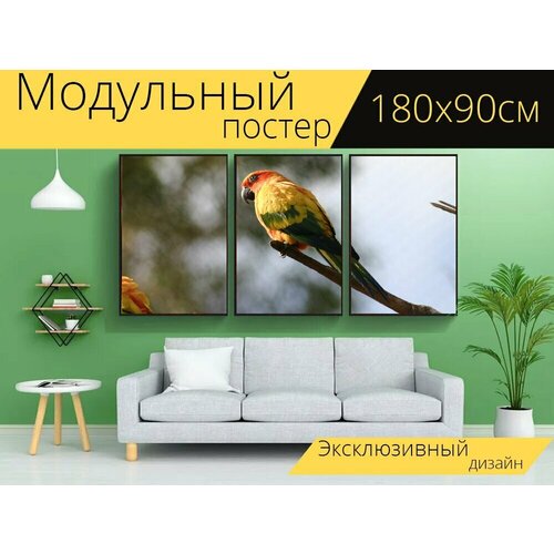 Модульный постер "Птица, птичий, перо" 180 x 90 см. для интерьера