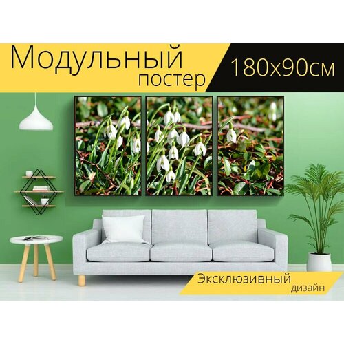 Модульный постер "Подснежник, весна, весенние цветы" 180 x 90 см. для интерьера