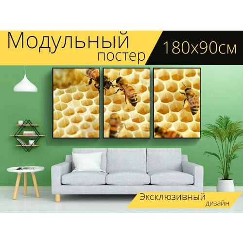 Модульный постер "Пчелы, строительные соты, медовый" 180 x 90 см. для интерьера