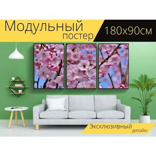 Модульный постер "Декоративная вишня, вишни в цвету, цветущая ветка" 180 x 90 см. для интерьера