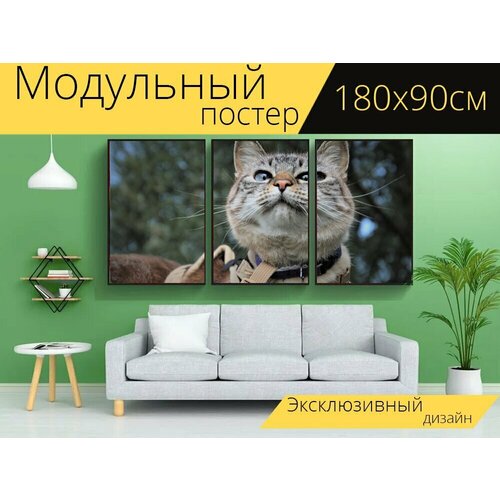 Модульный постер "Кошка, пушистый, голова" 180 x 90 см. для интерьера