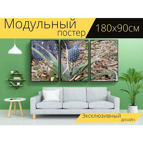Модульный постер "Ананасы, растения, тропический" 180 x 90 см. для интерьера
