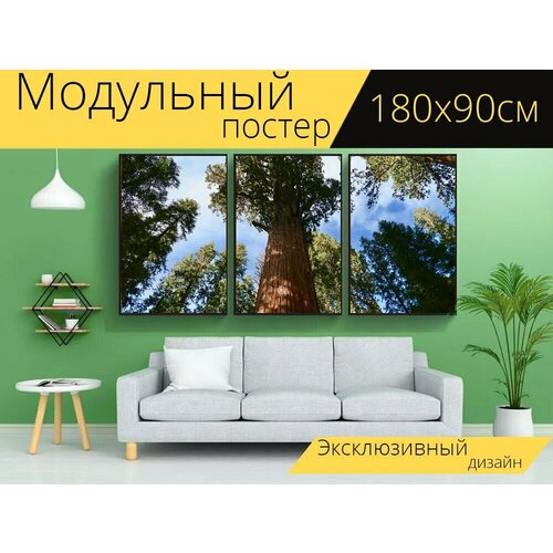 Модульный постер "Секвойя, секвойядендрон, национальный парк секвойя" 180 x 90 см. для интерьера