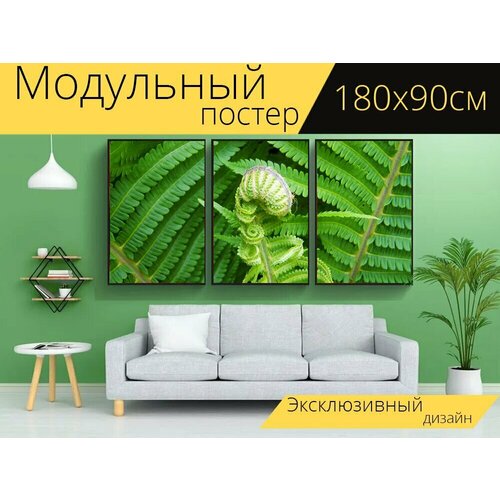 Модульный постер "Папоротник, зеленое растение, новый лист в форме улитки" 180 x 90 см. для интерьера