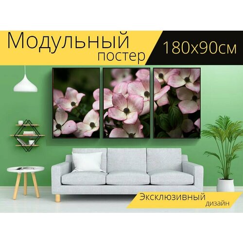 Модульный постер "Кизил, цветы, цветет дерево" 180 x 90 см. для интерьера