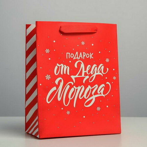 Пакет ламинированный вертикальный "Подарок от Деда Мороза", MS 18 x 23 x 10 см