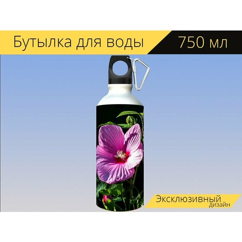 Бутылка фляга для воды "Гибискус, цветок, декоративное растение" 750 мл. с карабином и принтом