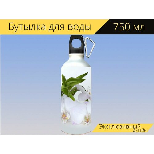 Бутылка фляга для воды "Орхидея, орхидея цветок, бамбук" 750 мл. с карабином и принтом