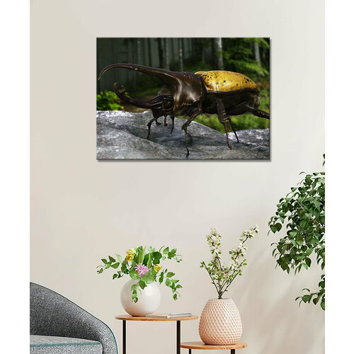 Картина - жук-геркулес, жук, крупный жук, природа, макро (3) 20х30