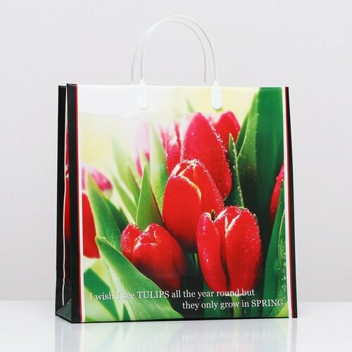Пакет "Чудесные тюльпаны", мягкий пластик, 30 х 30 см 120 мкм