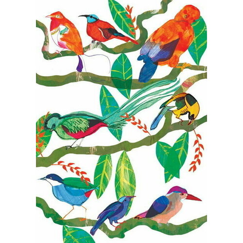 Плакат, постер на бумаге экзотические птицы. Размер 42 х 60 см