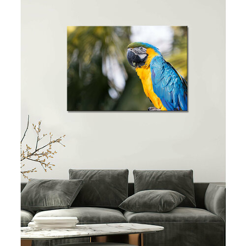 Картина/Попугай/Попугаи/Попугай на дереве/Попугай вблизи/ - Попугай (43) 50х70
