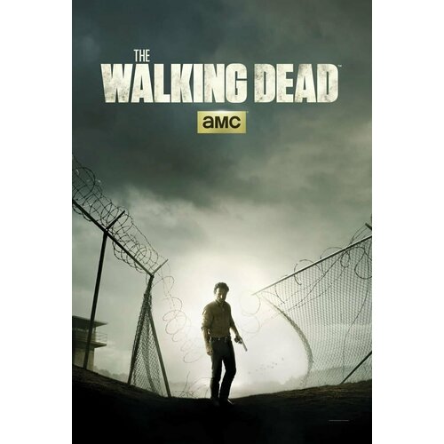 Плакат, постер на бумаге Ходячие мертвецы (The Walking Dead, сериал, 2010-2022г). Размер 60 х 84 см