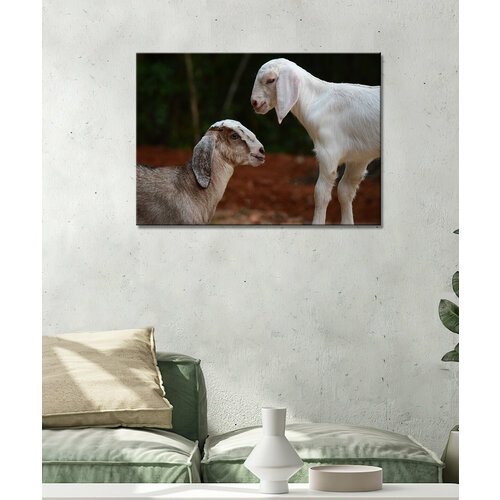 Картина -Козлята, козленок, коза, козел (19) 20х30