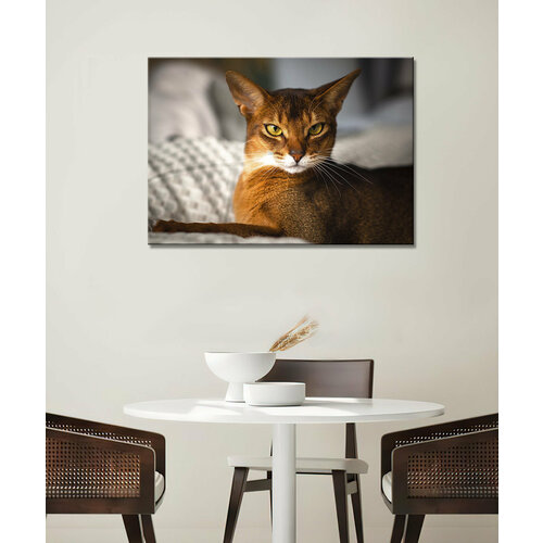 Картина - кошка, абиссинская кошка, древняя кошка, домашняя кошка, ласковая кошка, кот (179) 20х30