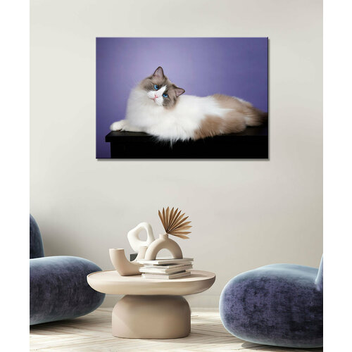 Картина - кошка, рэгдолл, домашняя кошка, ласковая кошка, кот (264) 60х80