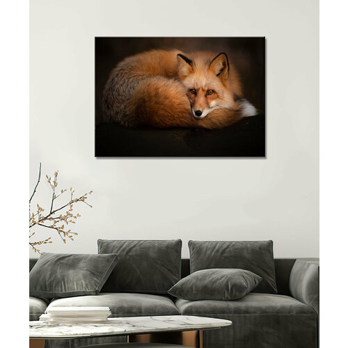 Картина - Лиса, лис, лисы, лисичка, лисенок, лисица, рыжая лиса, лиса в лесу, лиса на черном фоне (76) 20х30