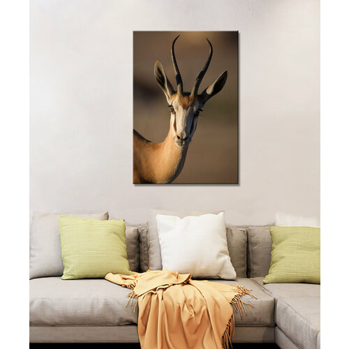 Картина - коричневая антилопа, антилопа , молодая антилопа 30х40