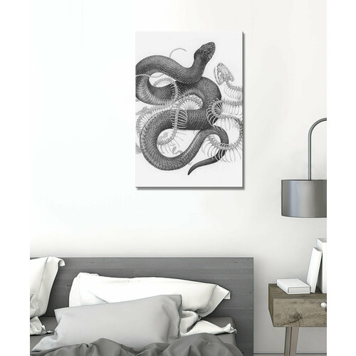 Картина - змея, арт, змея на белом фоне, тёмная змея, чёрно-белая змея, минимализм (109) 50х70