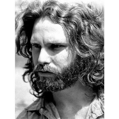 Плакат, постер на бумаге The Doors-Jim Morrison/Дурс-Джим Моррисон/музыкальные/поп исполнитель/артист/поп-звезда/группа. Размер 42 х 60 см