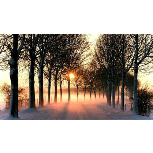 Картина на холсте 60x110 LinxOne "Закат деревья аллея зима снег" интерьерная для дома / на стену / на кухню / с подрамником