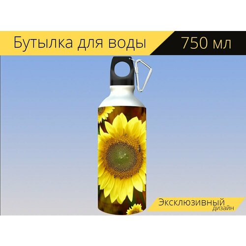 Бутылка фляга для воды "Подсолнечник, подсолнух, природа" 750 мл. с карабином и принтом