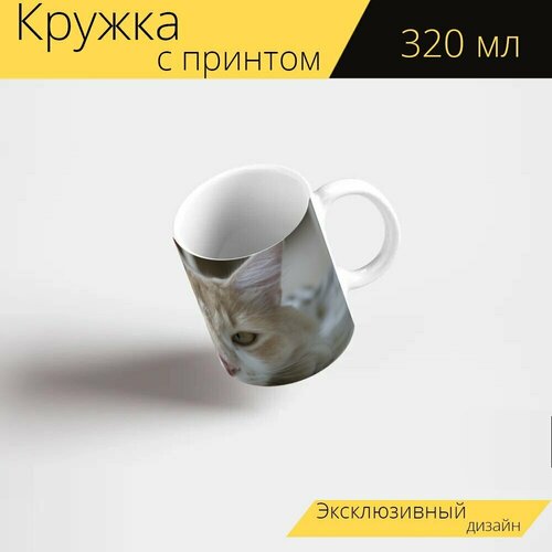 Кружка с рисунком, принтом "Кот, снотворный, переднего плана" 320 мл.