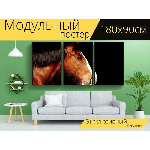 Модульный постер "Лошадь шайр, лошадь, коричневая лошадь" 180 x 90 см. для интерьера