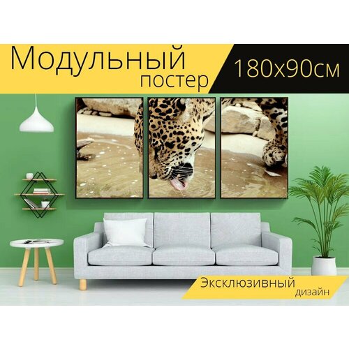 Модульный постер "Ягуар, большой кот, хищник" 180 x 90 см. для интерьера