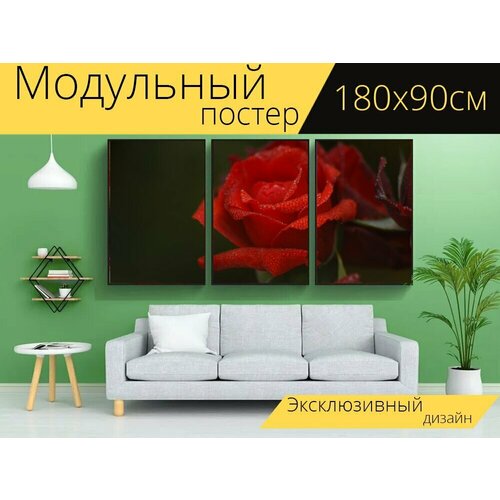 Модульный постер "Роза в росе, красная, алая" 180 x 90 см. для интерьера