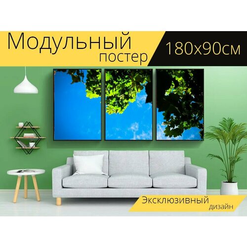 Модульный постер "Синее небо, листья, дерево" 180 x 90 см. для интерьера
