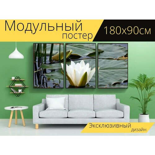 Модульный постер "Водяная лилия, кубышка растение, цвести" 180 x 90 см. для интерьера
