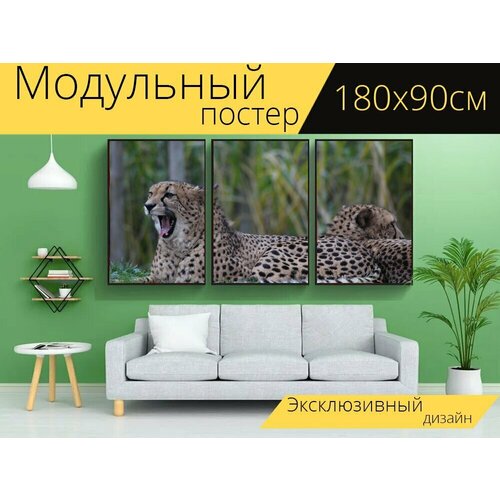 Модульный постер "Гепард, зоопарк, хищник" 180 x 90 см. для интерьера