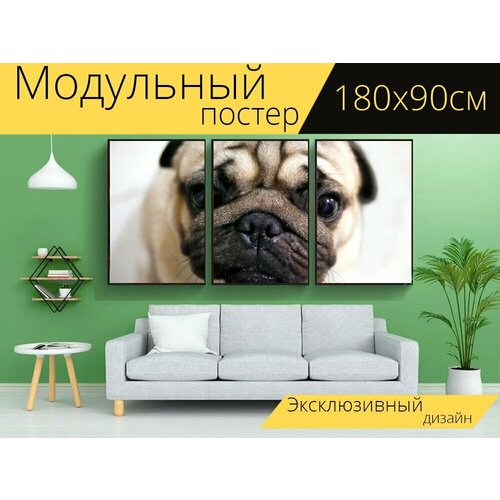Модульный постер "Мопс, милый, собака" 180 x 90 см. для интерьера